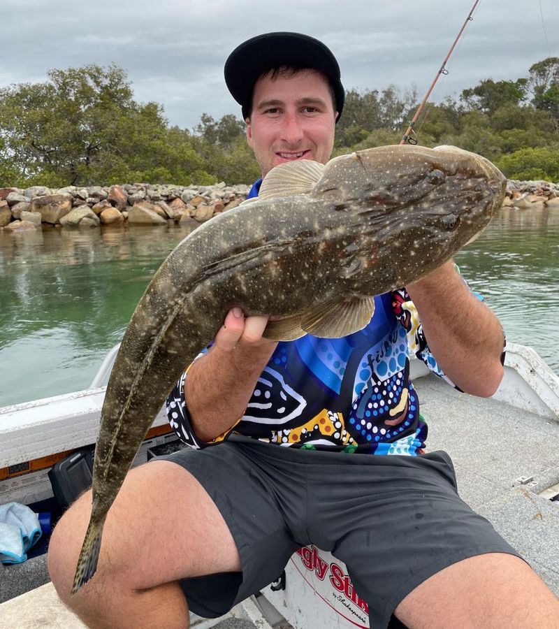 Flathead - Species Guide